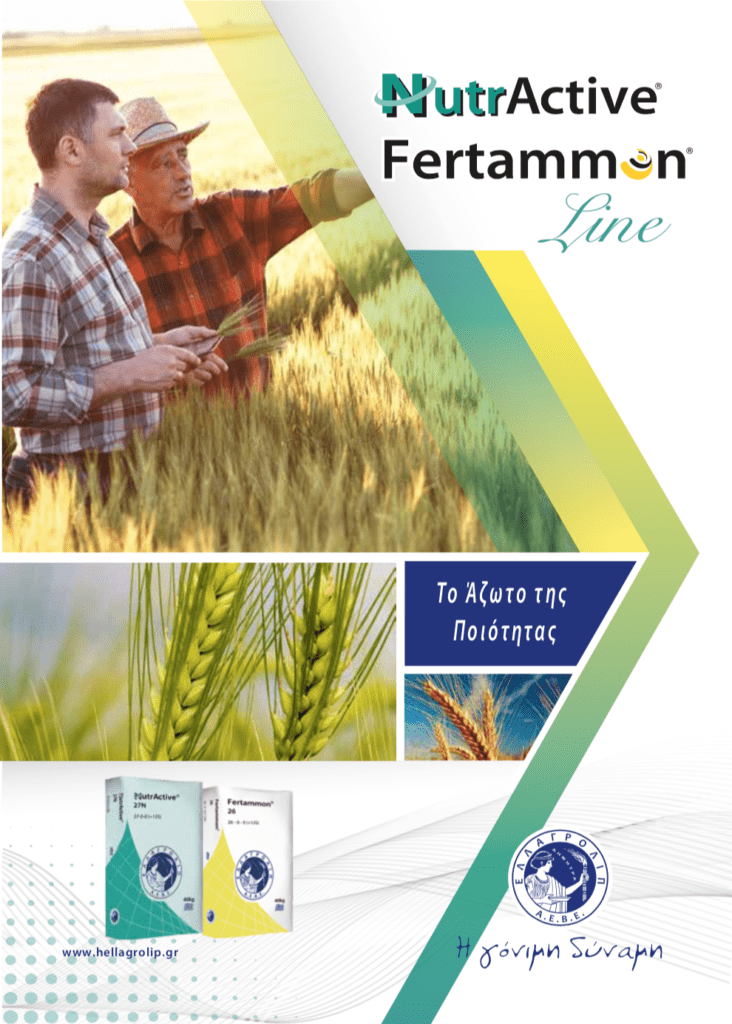 Ammonium Sulphate Nitrate - Dekagro