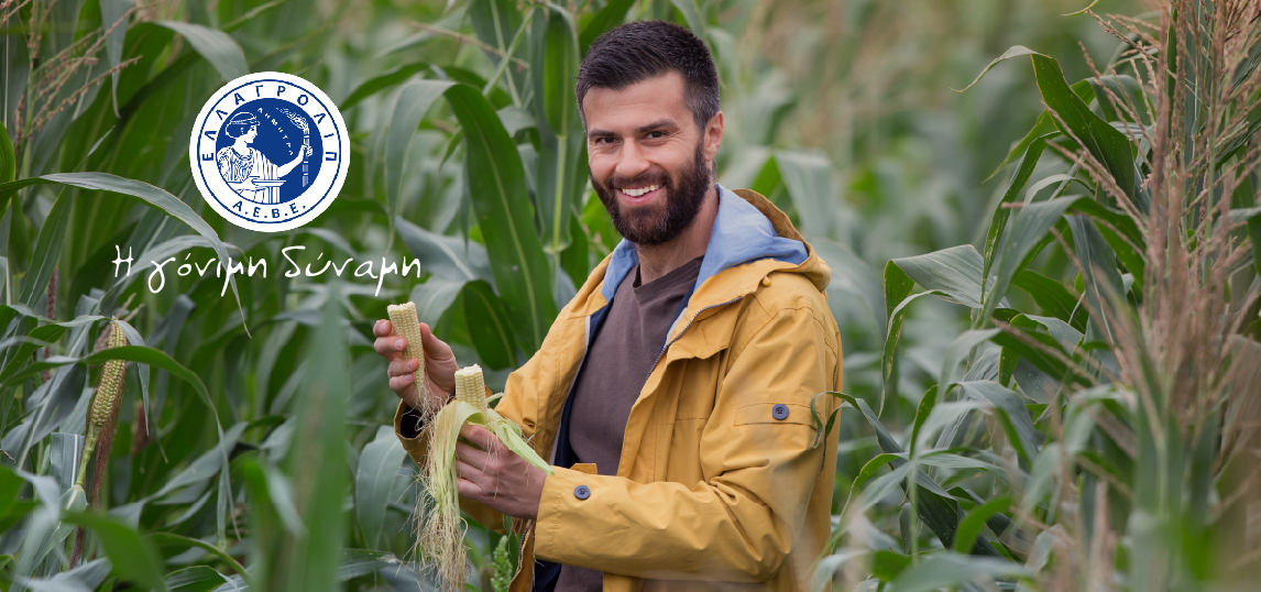 Corn fertilization guide - Dekagro