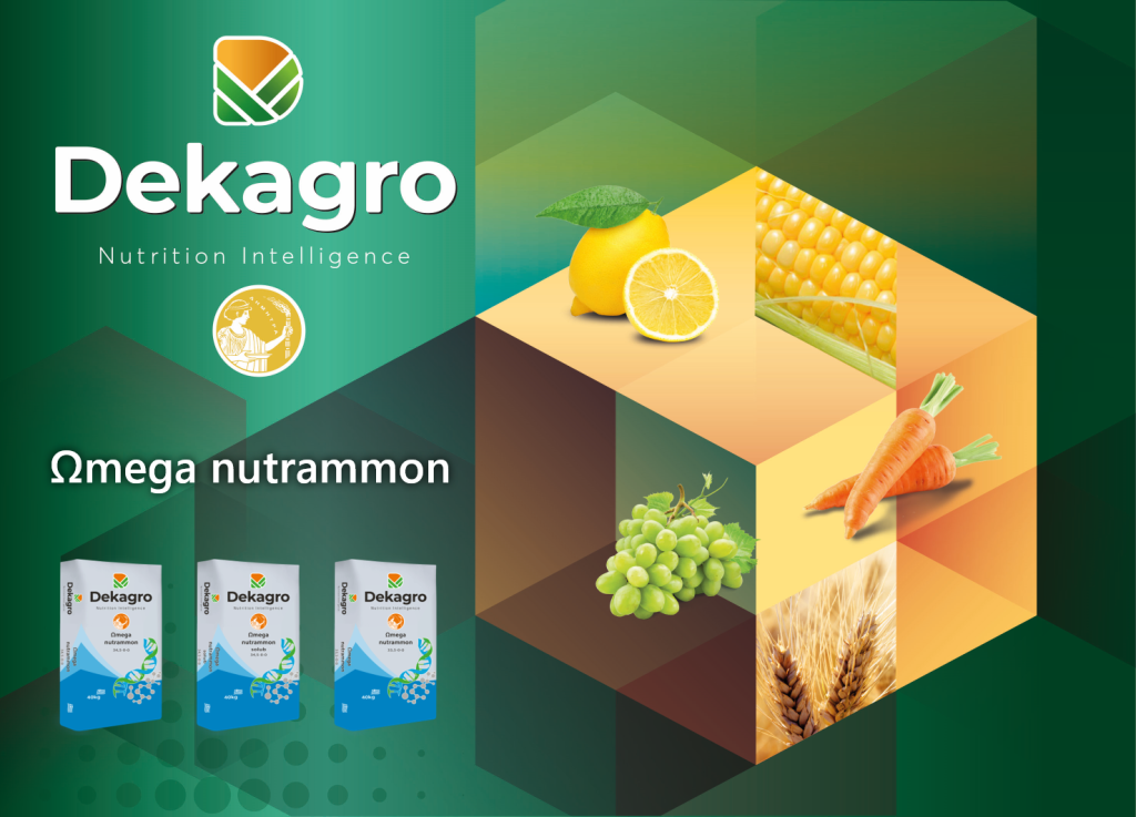 Home Page - Dekagro