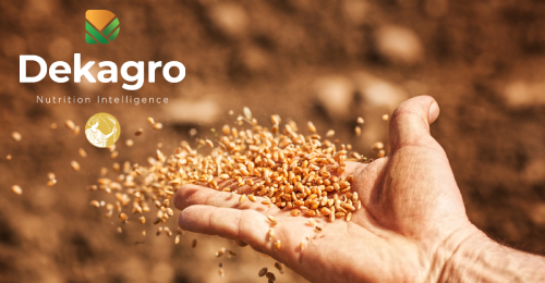 Ammonium Sulphate Nitrate - Dekagro