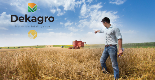 Calcium Ammonium Nitrate - Dekagro