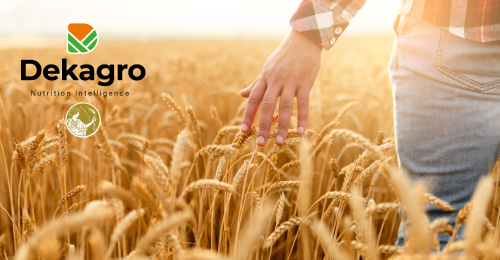 Ammonium Nitrate - Dekagro